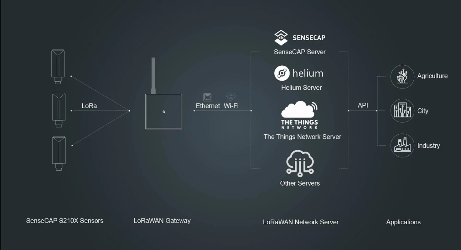 Stal Data Monitors Environmental Conditions and Pig Health With LoRaWAN®