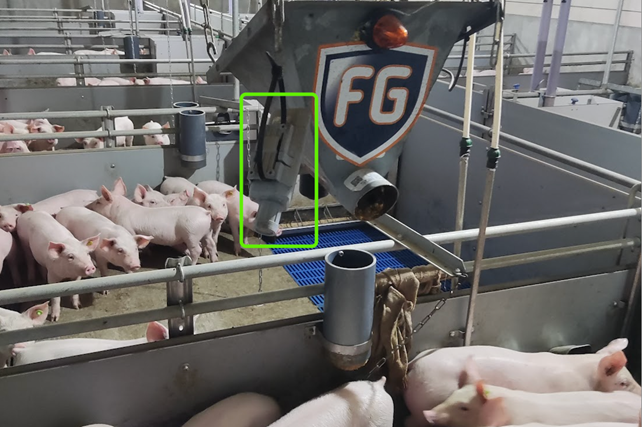 Stal Data Monitors Environmental Conditions and Pig Health With LoRaWAN®