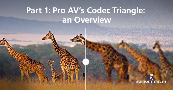 Part 1: Pro AV’s Codec Triangle Overview