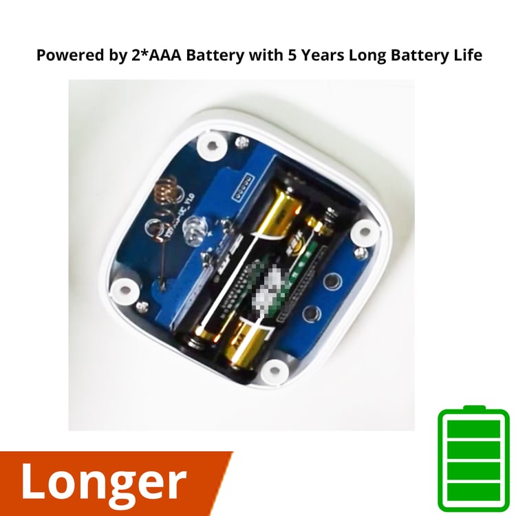 LoRa® Devices In Your Smart Home